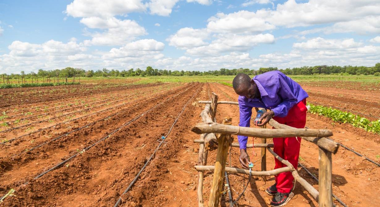 Zimbabwe Taps Funding for Water-Wise Farming as Drought Worsens