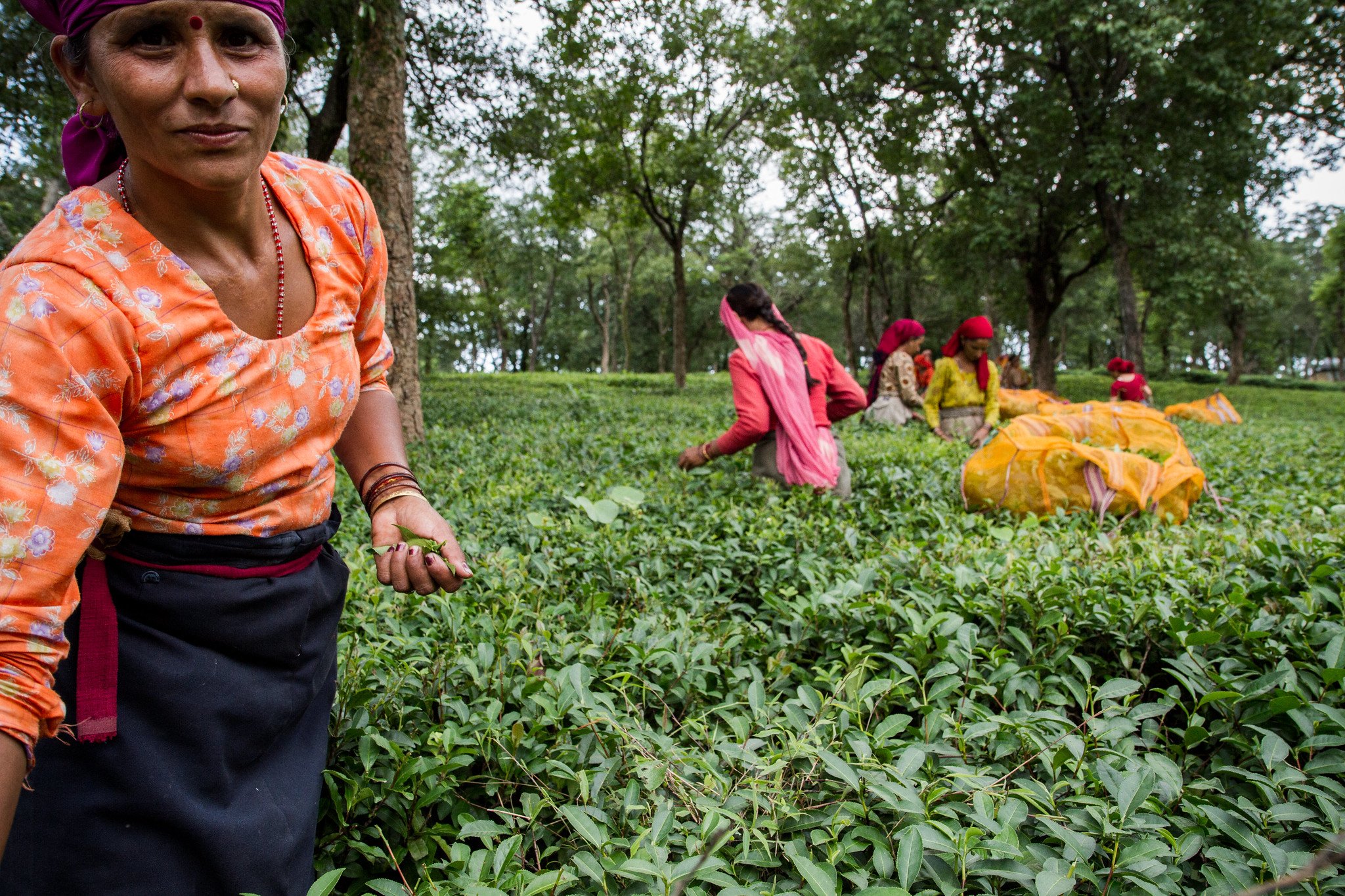 12 Ways Farmers Are Adapting to Climate Change Around the World