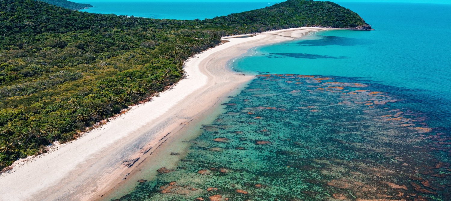 Australia Pledges Billions More to Protect Koalas and Great Barrier Reef
