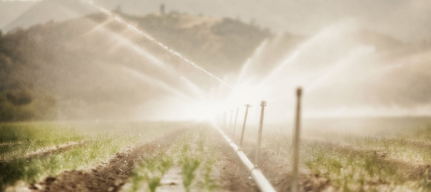 We use water for EVERYTHING. Here are some examples