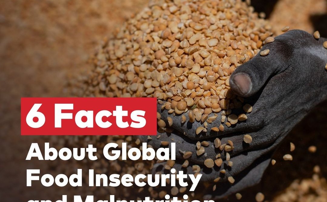 6 Facts About Global Food Insecurity and Malnutrition - Story - Global ...