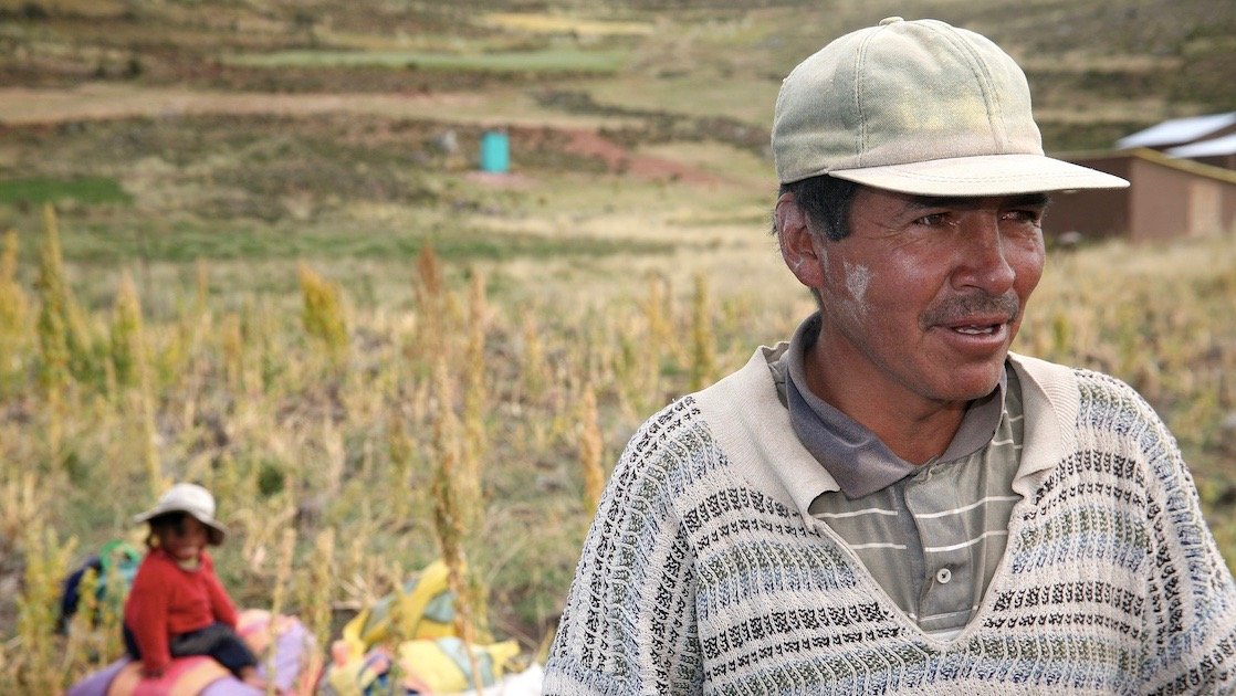 The Quinoa Boom Helped Peru's Farmers, But There's A Catch