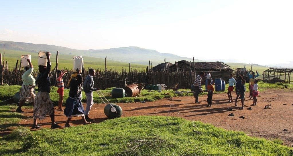 Why Nedbank Has Invested More Than R264 Million in Conservation Projects