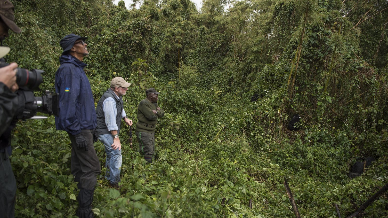 Rwanda to Plant Over 43 Million Trees to Fight Climate Change