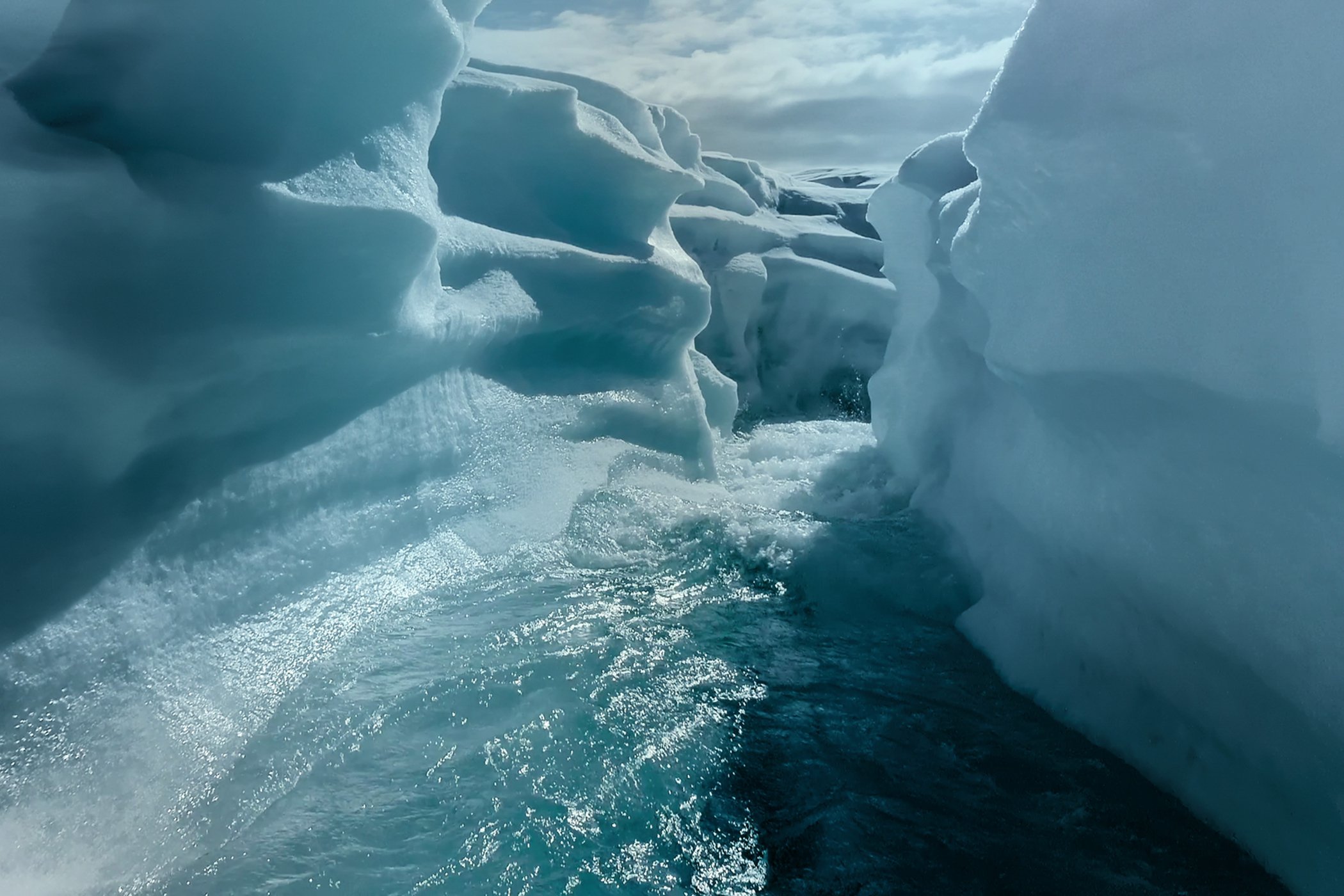 9 Staggering Facts From David Attenborough’s New Devastating ...