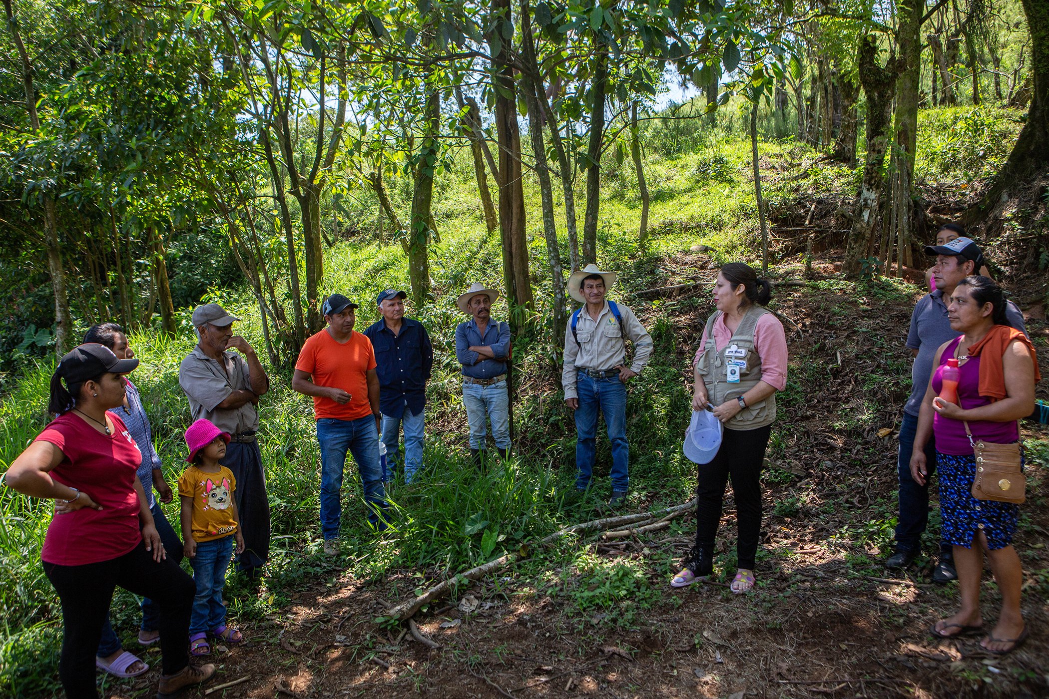 Farmers on the Front Lines: Mexico’s Cacao Crops Are Recovering Thanks ...