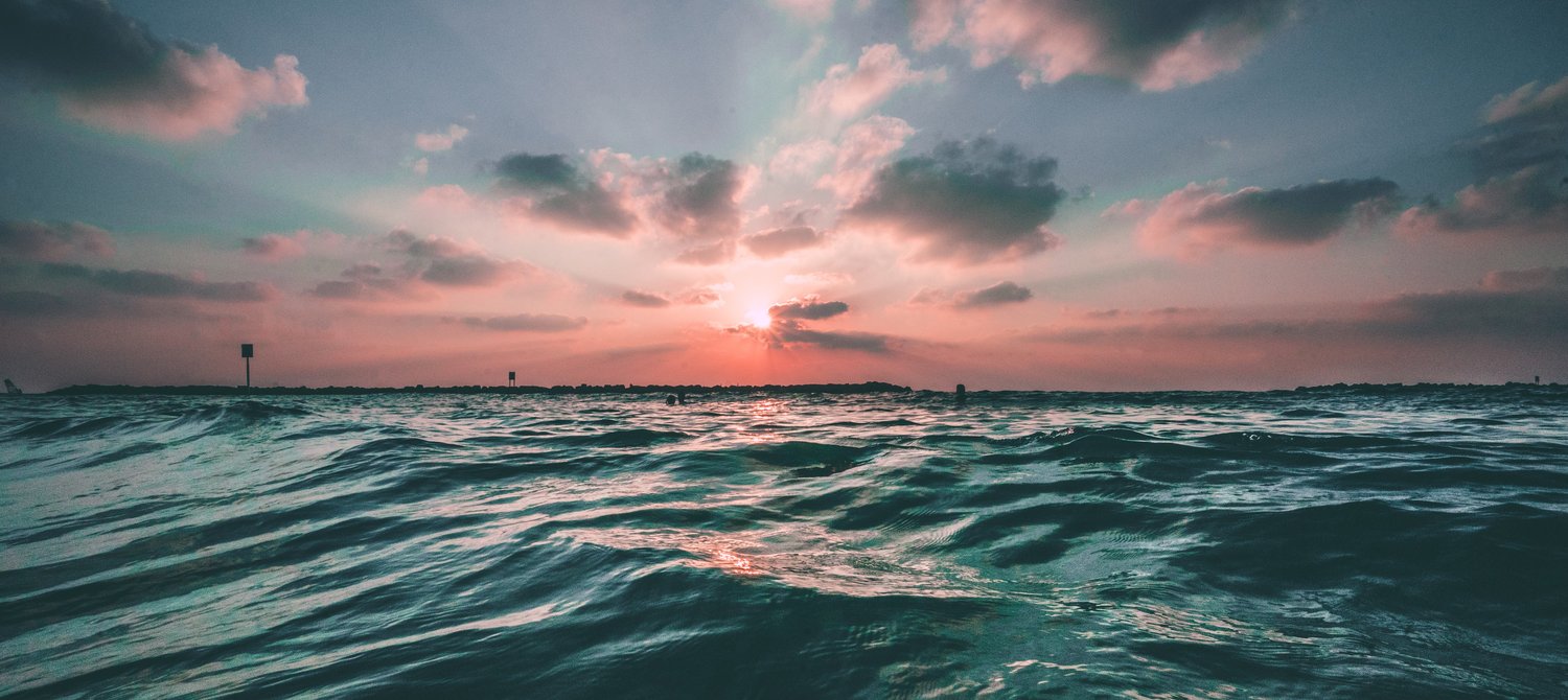 What Is the High Seas Treaty? Here’s Everything to Know & Why It Really ...