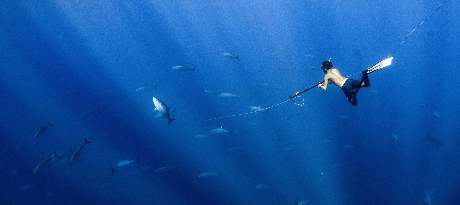 World Oceans Day: These Stunning Photos Show Marine Biodiversity at Its ...