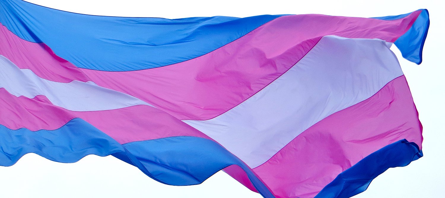 6 British Trans-Inclusive Feminist Art and Activist Groups You Should ...