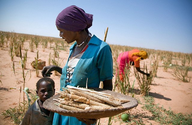Lake Chad Is Drying Up. Meet the Nigerian Activist Fighting to Save the ...