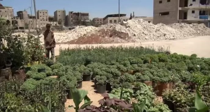 How the Last Gardener of Aleppo Brought Hope to Syria