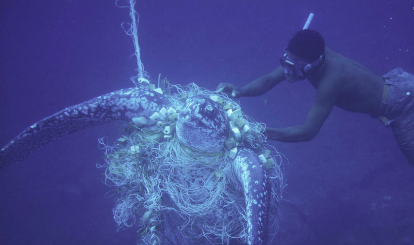 Shocking Photos Show Extent of Plastic Pollution in Caribbean