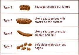 How Much Does The Average Person Poop A Year