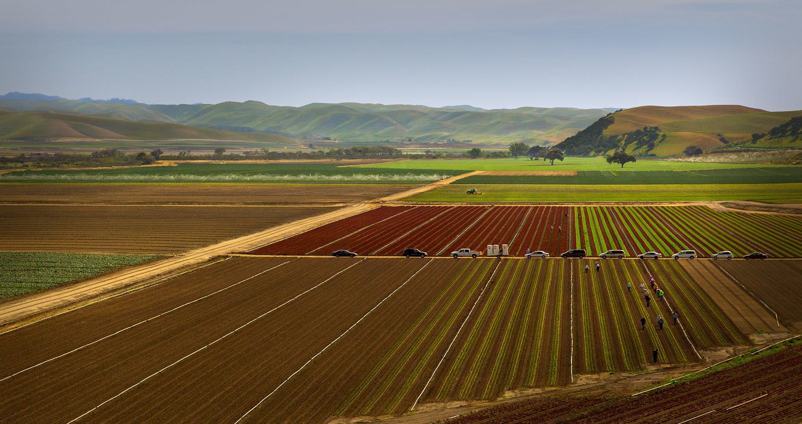 Dangerously Hot Days Could Double by 2050 for Farm Workers in US: Study