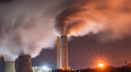 7 reasons to save the rainforest