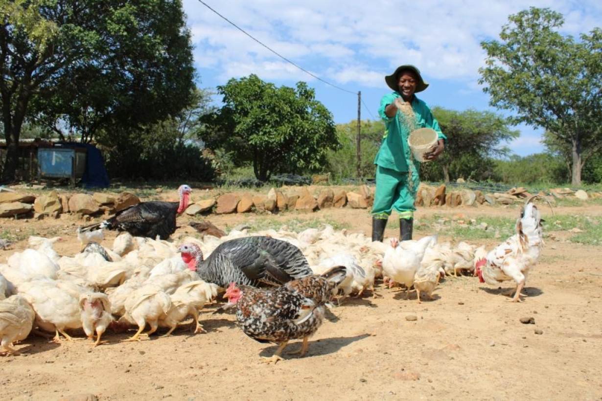 Zimbabwe Farmers Are Growing Vegetables to Fight Drought