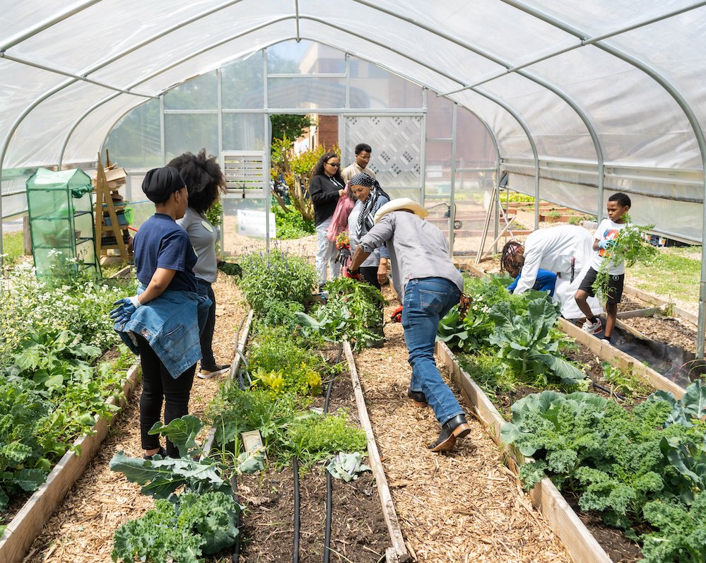 Why People Across the US Are Growing Their Own Food – And Why You ...
