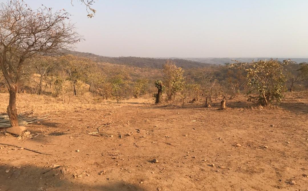 Nearly 2.3M Zambians Face Starvation as a Result of Low Rainfall