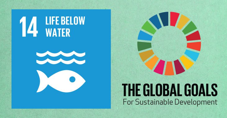 17 ways education influences the new 17 Global Goals