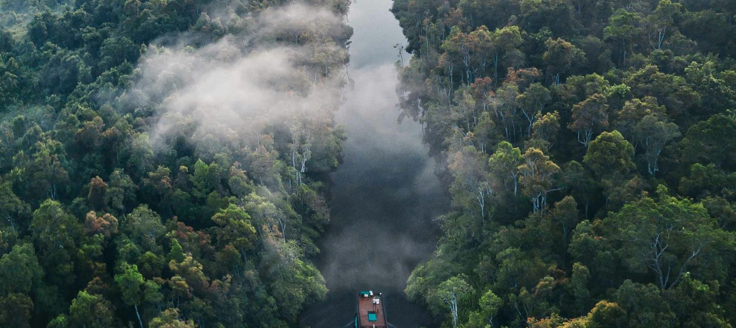 Why Protect The Amazon