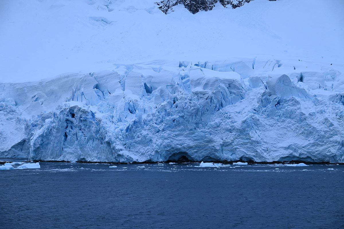 We Can Still Save Antarctica, Youth Climate Activists Insist After 10 ...